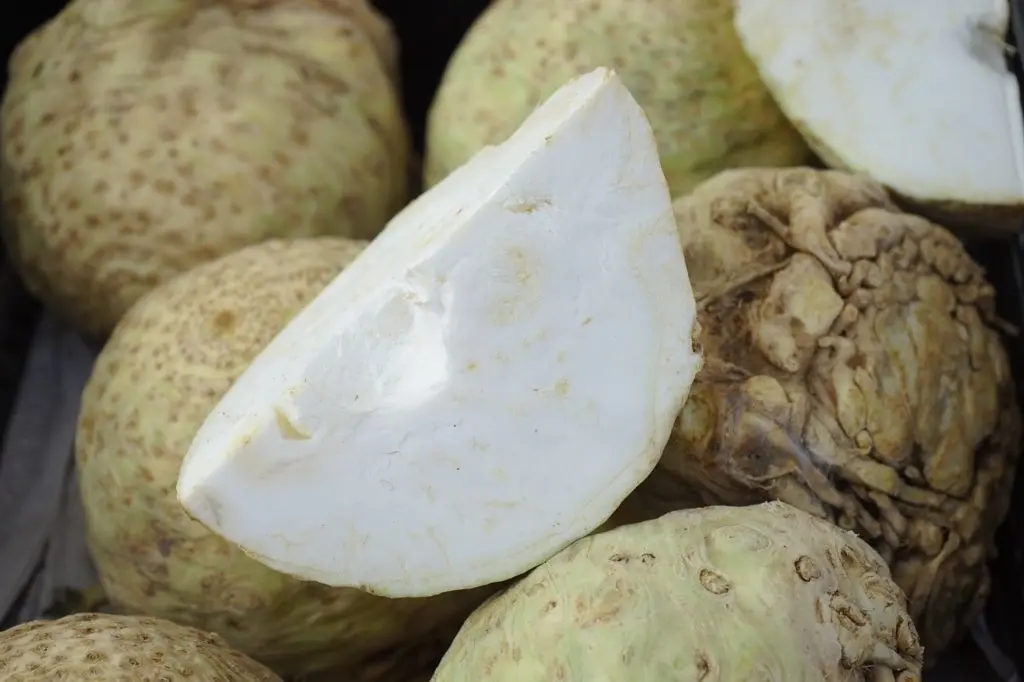 Celery Root Puree ('Selleriepüree') - My German Table