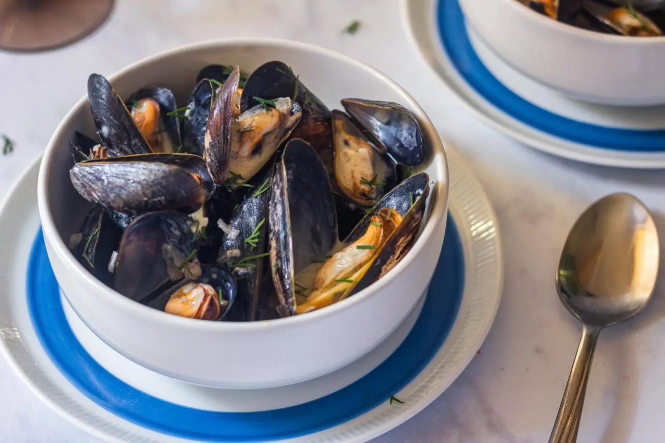 Steamed Mussels in Mustard Sauce ('Muscheln in Senfsoße') - My German Table