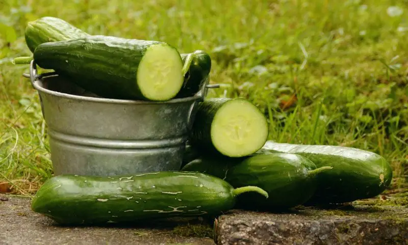 Cucumber Salad with Sour Cream ('Gurkensalat mit Schmand') - My German ...