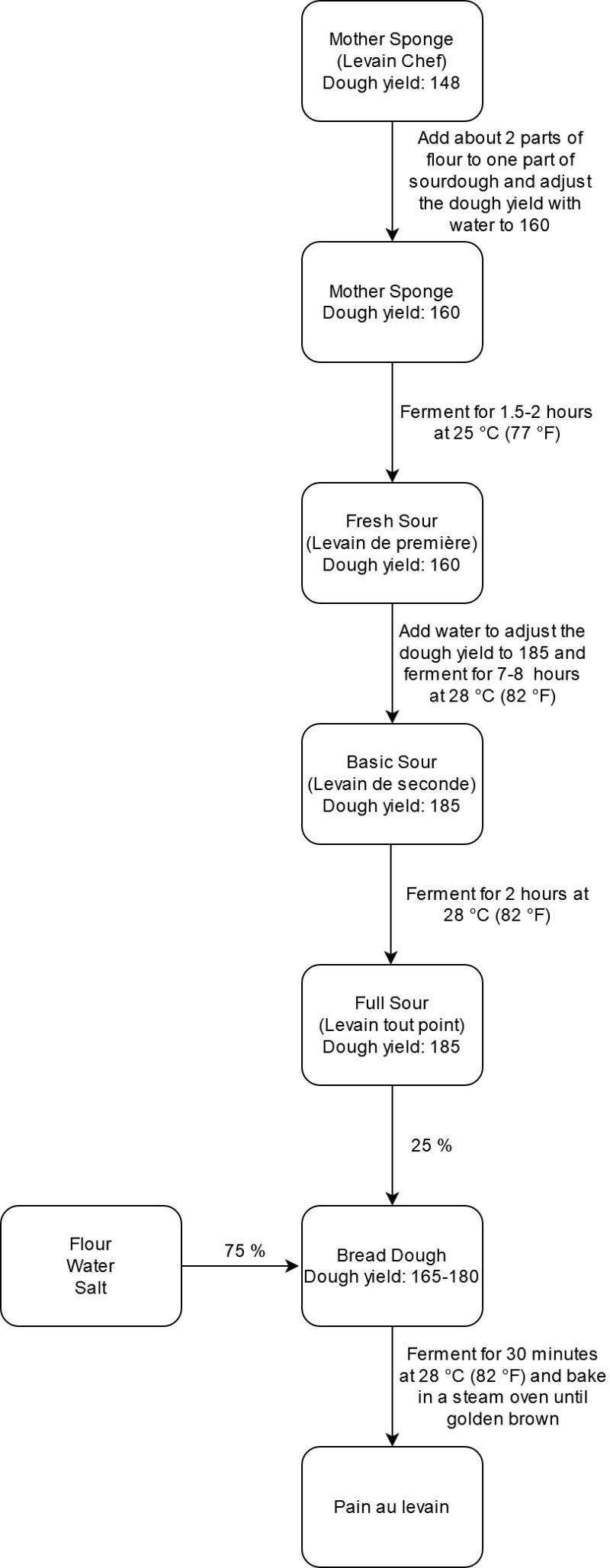 What is sourdough? An in-depth guide to sourdough technology for bakers ...