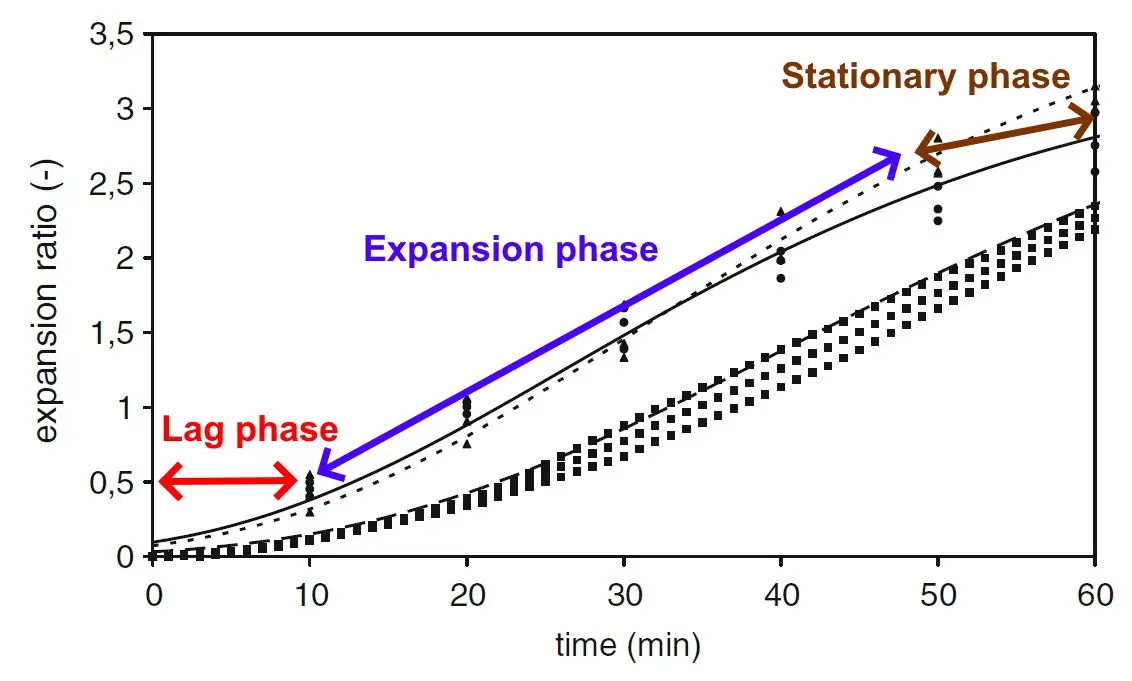 What is salt-stressed baker's yeast and why is it used in breadmaking ...